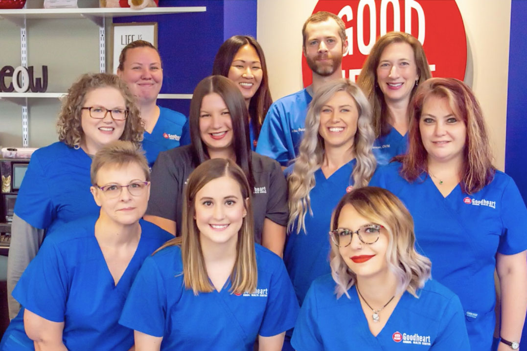 Associate Veterinarian – Firehouse Animal Health Centers