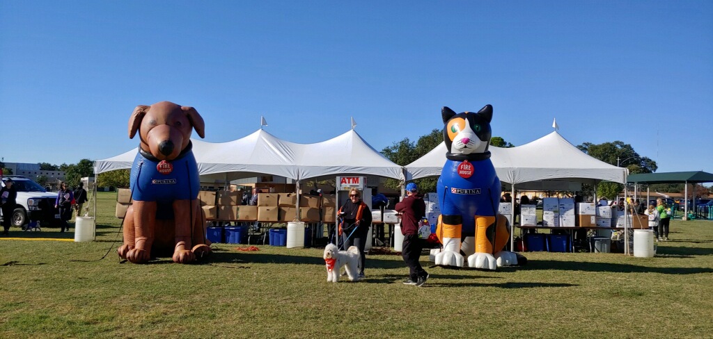 Mighty Texas Dog Walk – Firehouse Animal Health Centers